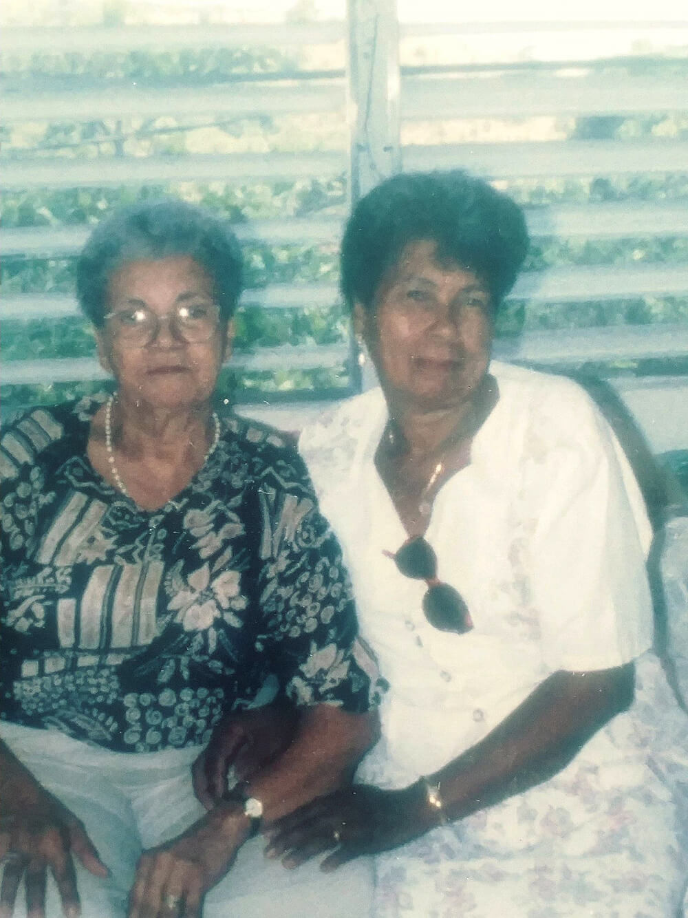 Zenaida and the vaivén - Explore TPR